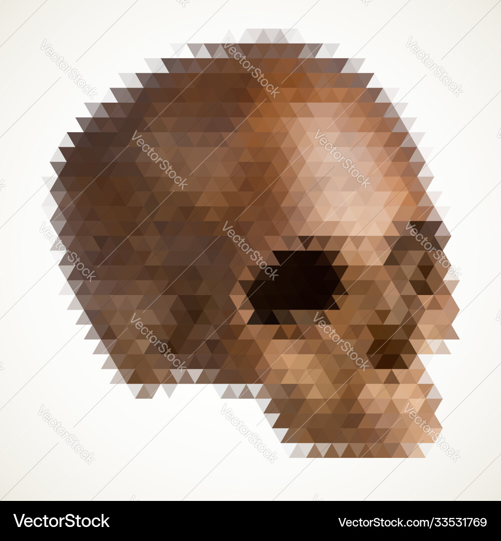 Triangular skull Royalty Free Vector Image - VectorStock