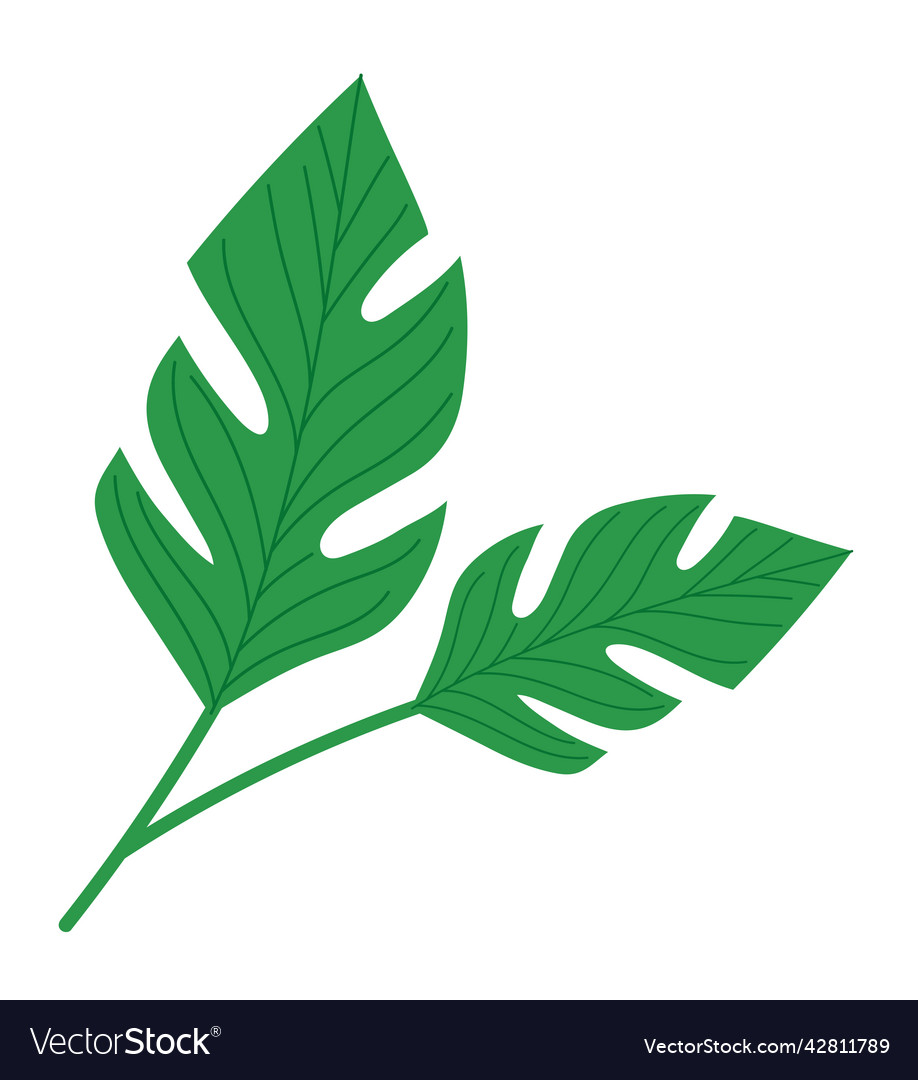 Two leaf Royalty Free Vector Image - VectorStock