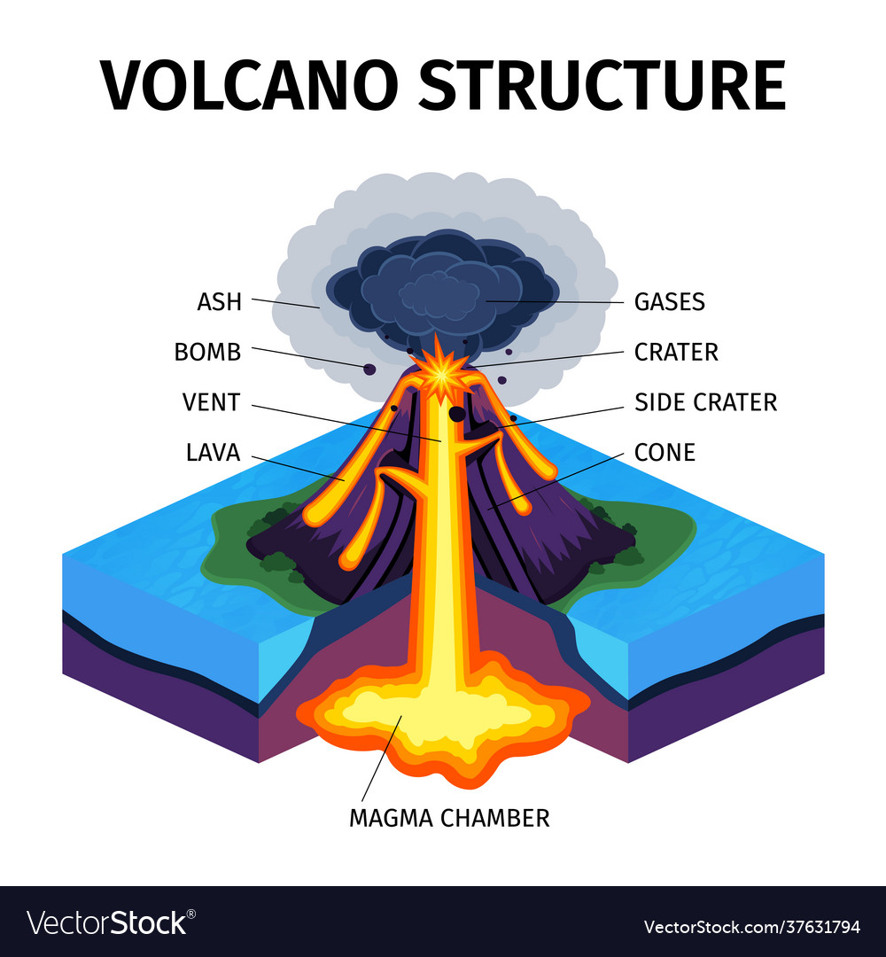 Volcano Structure Diagram Royalty Free Vector Image
