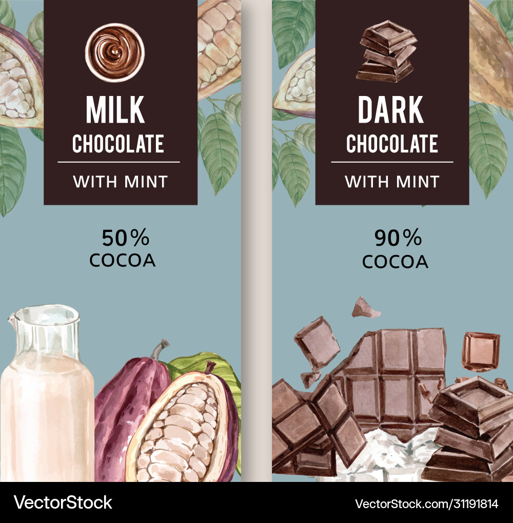 Chocolate packing design with ingredients branch Vector Image