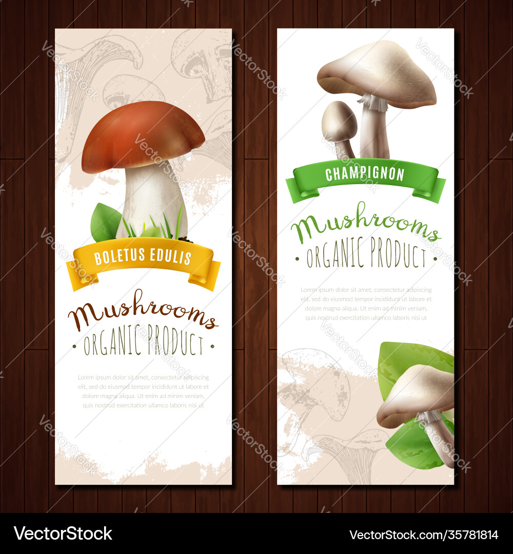 Organic mushrooms vertical banners Royalty Free Vector Image