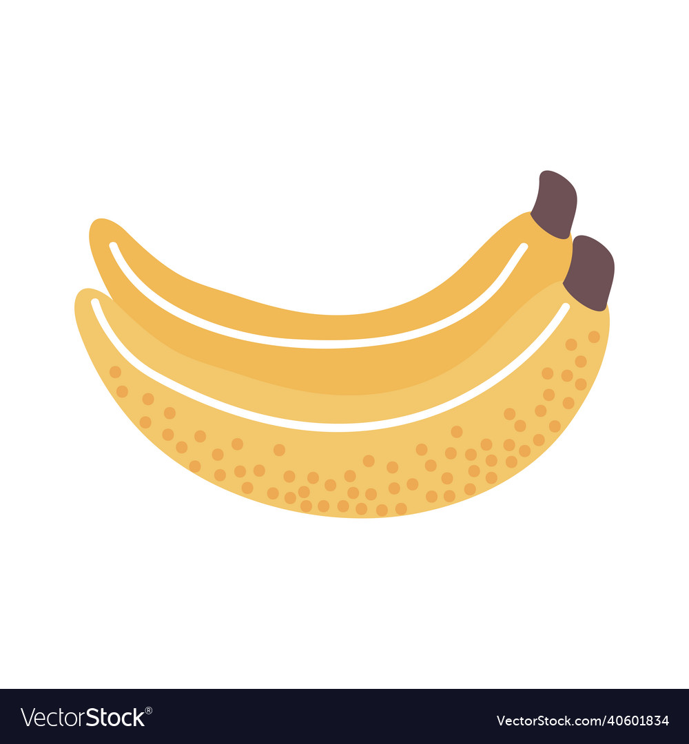 Fresh bananas fruits Royalty Free Vector Image