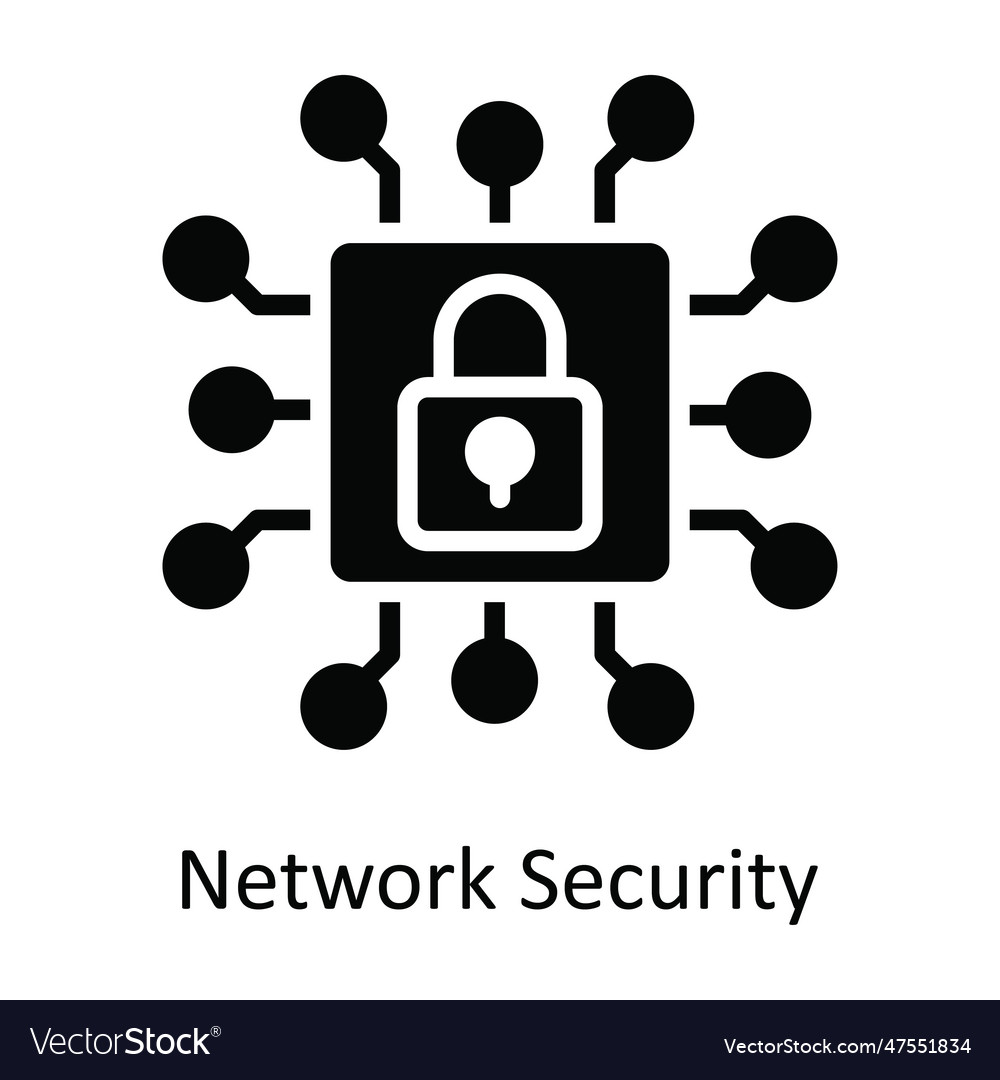 Network security solid icon design illust Vector Image