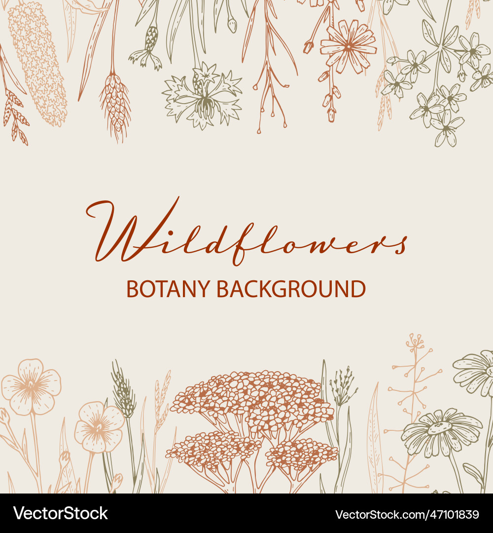 Hand drawn summer wildflowers frame in sketch Vector Image