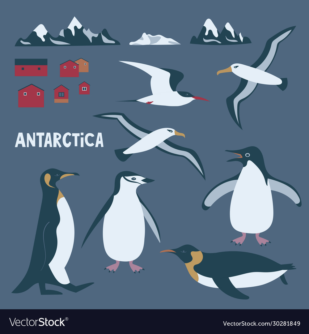 Antarctica themed set with penguins albatross Vector Image
