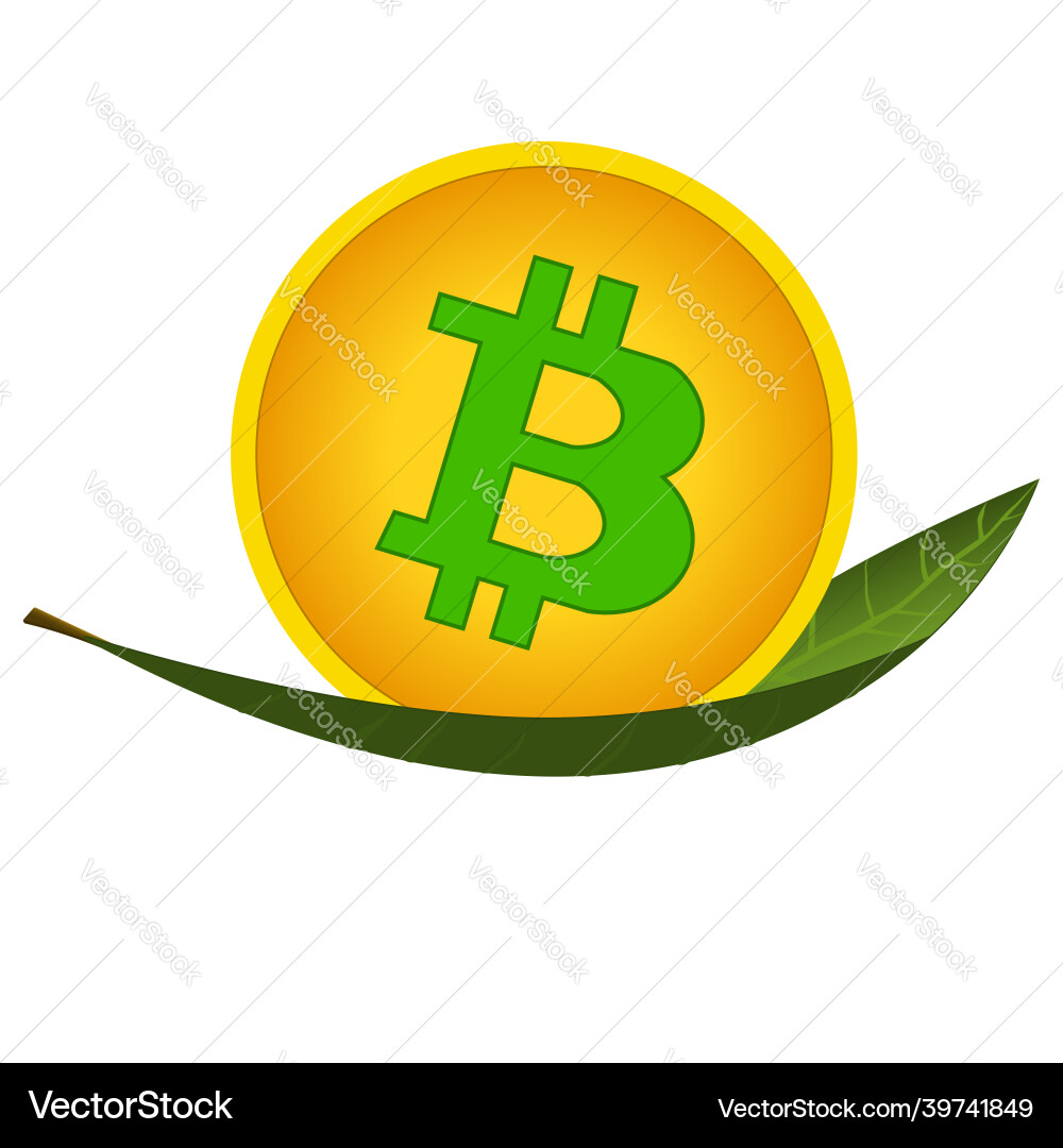 Bitcoin coin on green leaf isolated on white Vector Image