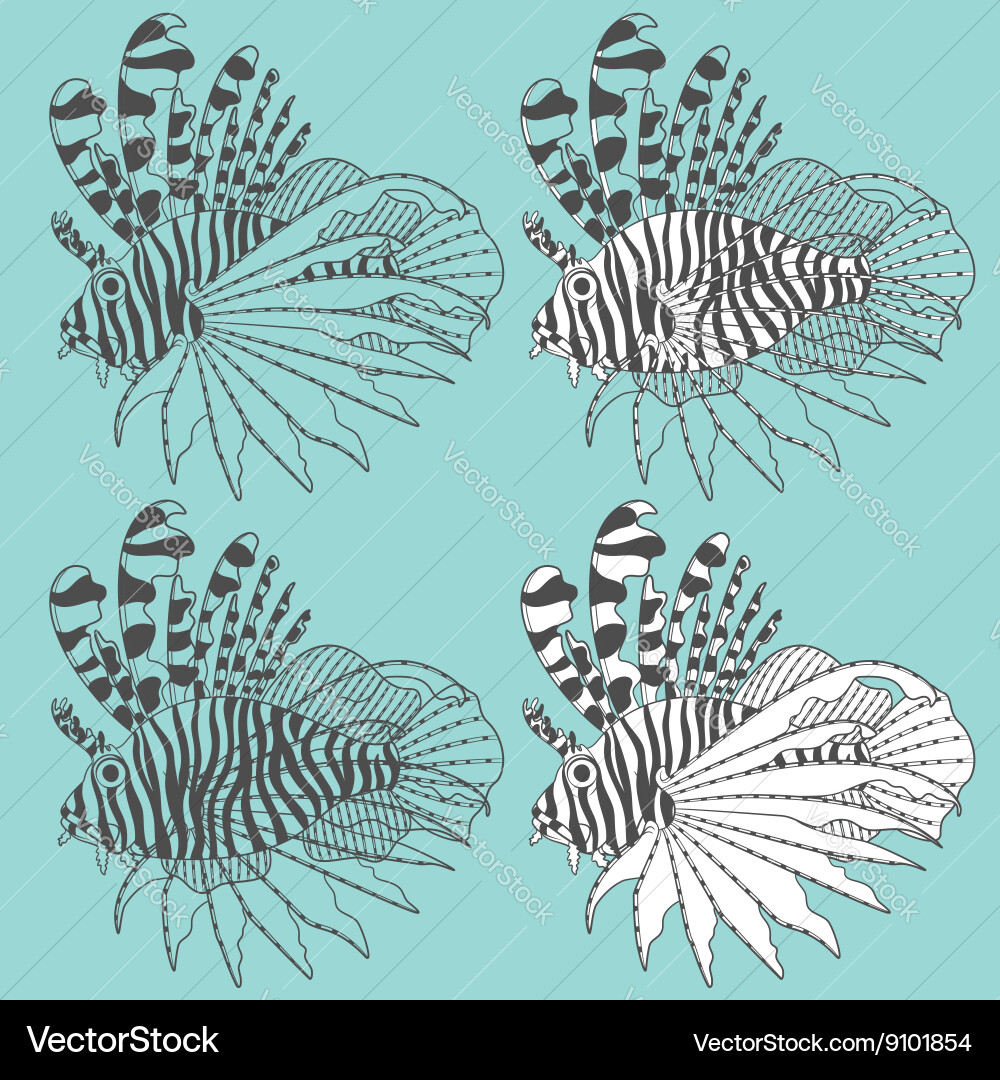 Set of with lionfish Royalty Free Vector Image