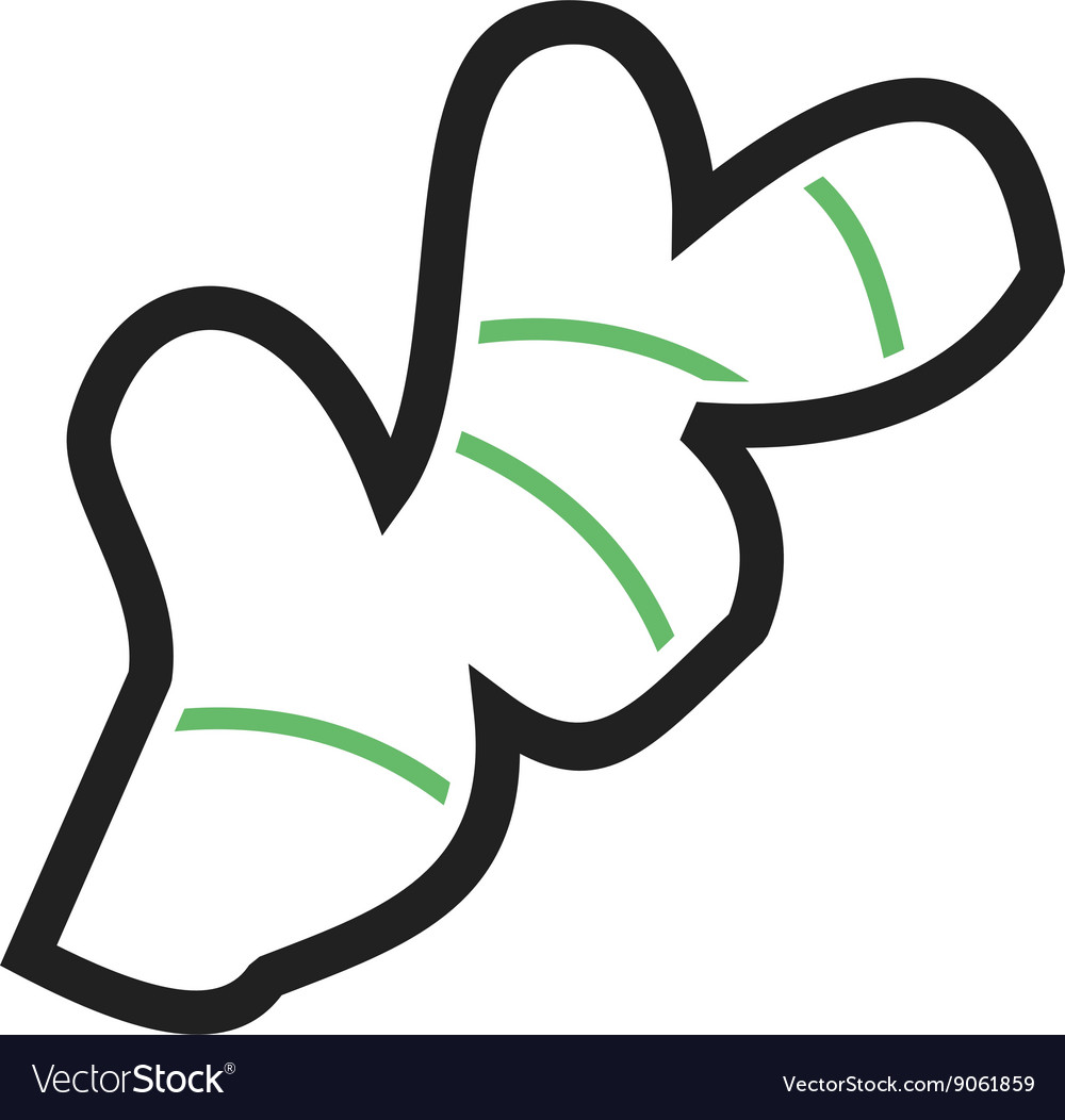 Ginger Royalty Free Vector Image - VectorStock