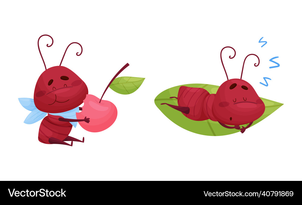 Ant doing various actions set funny insects Vector Image