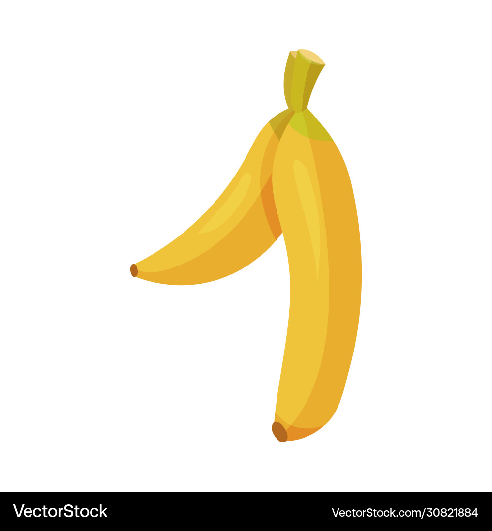 Banana fruit arranged in number isolated on white Vector Image