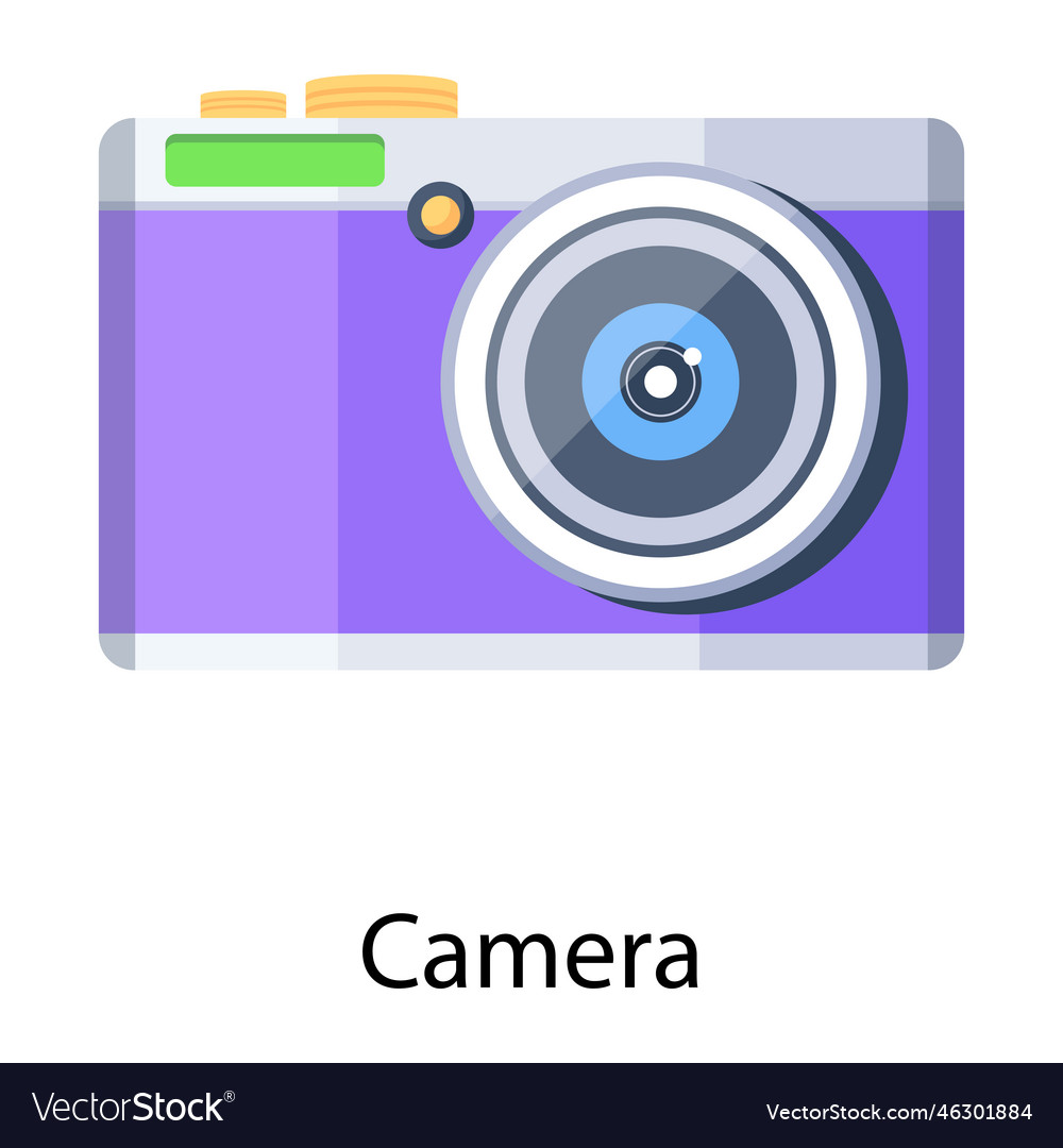 Camera Royalty Free Vector Image - VectorStock