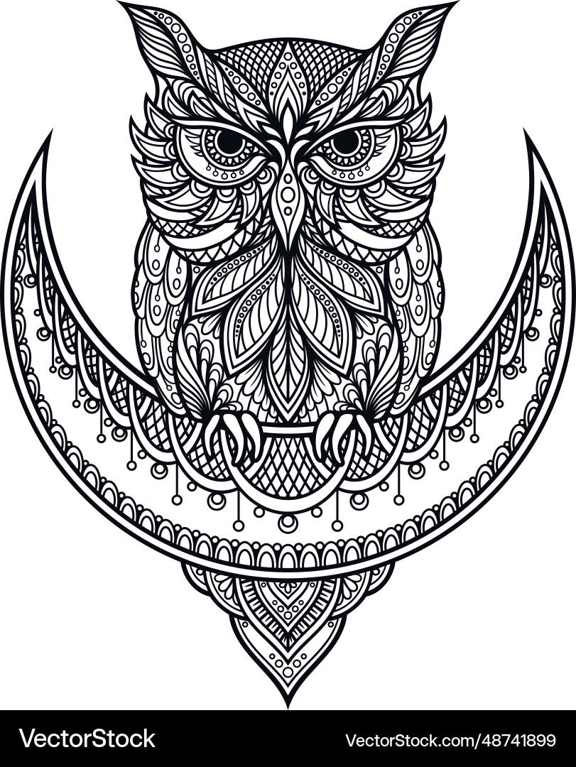 Mandala owl intricate ornamental pattern Vector Image