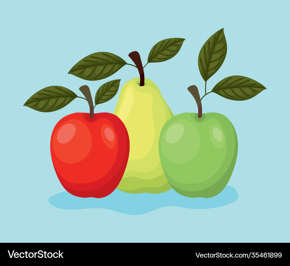 Red apple green and pear Royalty Free Vector Image