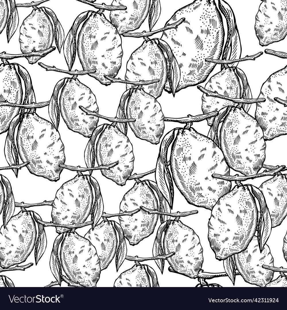 Seamless pattern lemon on branch with leaves Vector Image Seamless pattern lemon on branch with leaves Vector Image