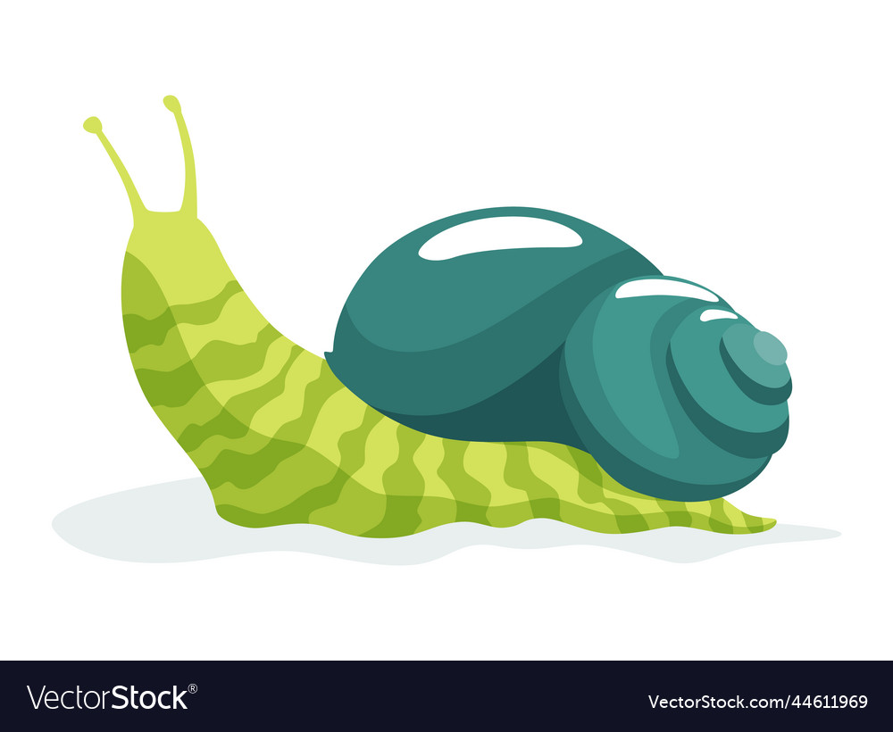 Snail crawling snailfish colour shell colourful Vector Image Snail crawling snailfish colour shell colourful Vector Image