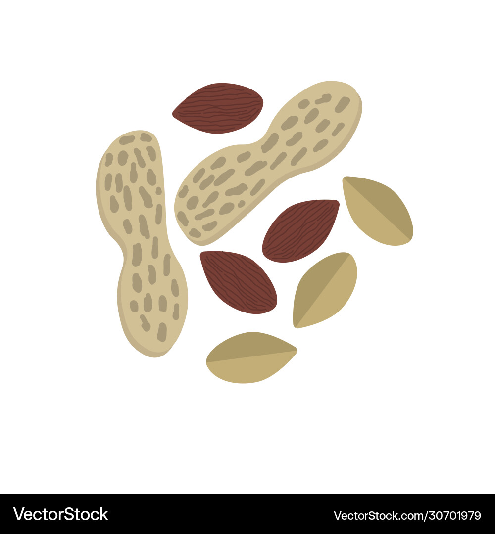 Peanuts simple Royalty Free Vector Image - VectorStock