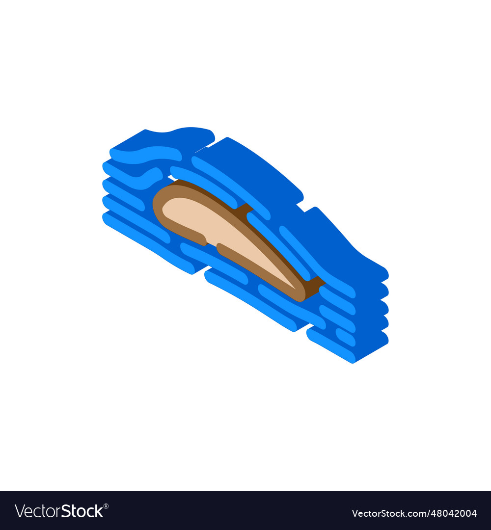 Aerodynamics aeronautical engineer isometric icon Vector Image Aerodynamics aeronautical engineer isometric icon Vector Image