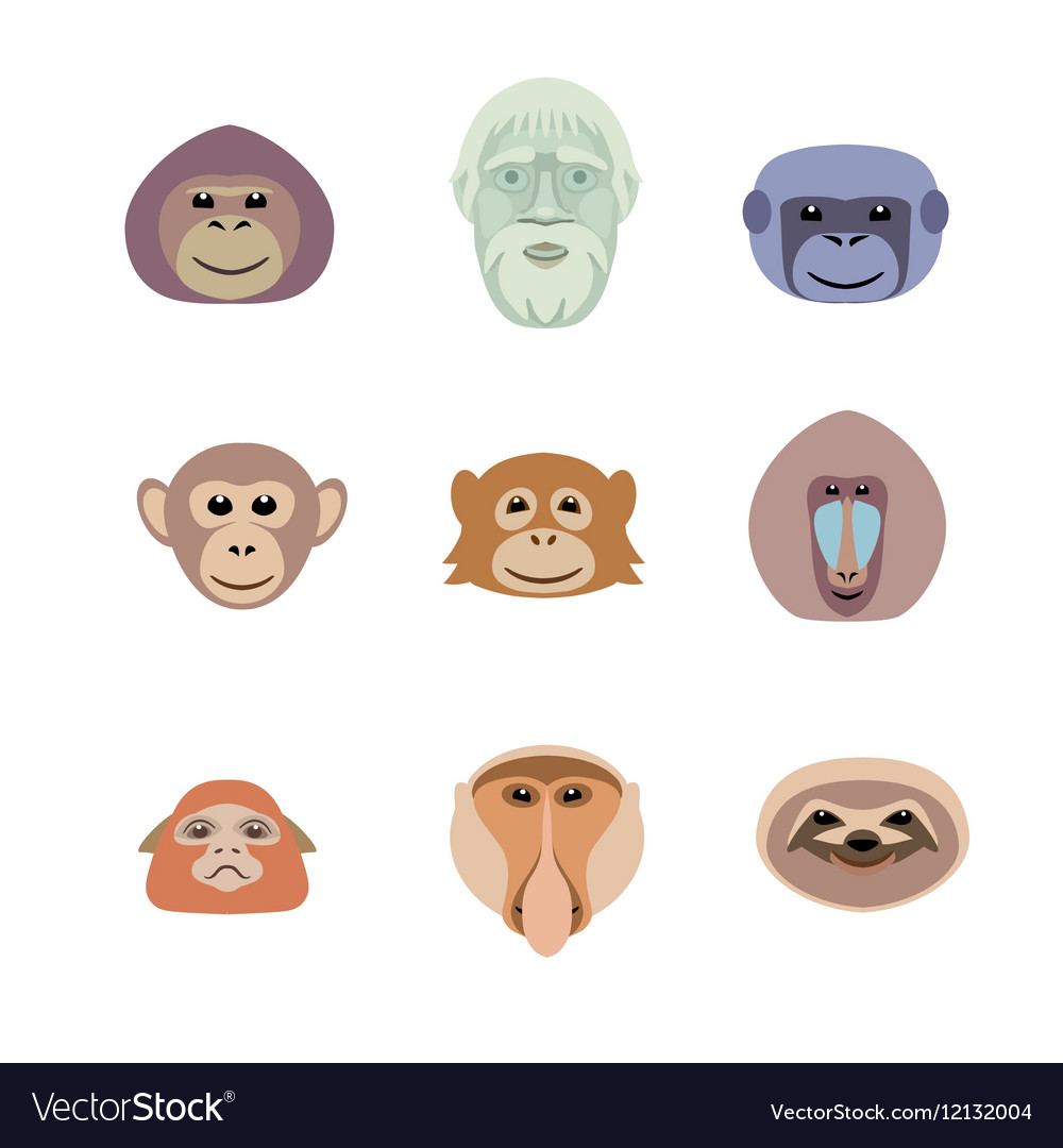 Different monkey flat icon set Royalty Free Vector Image