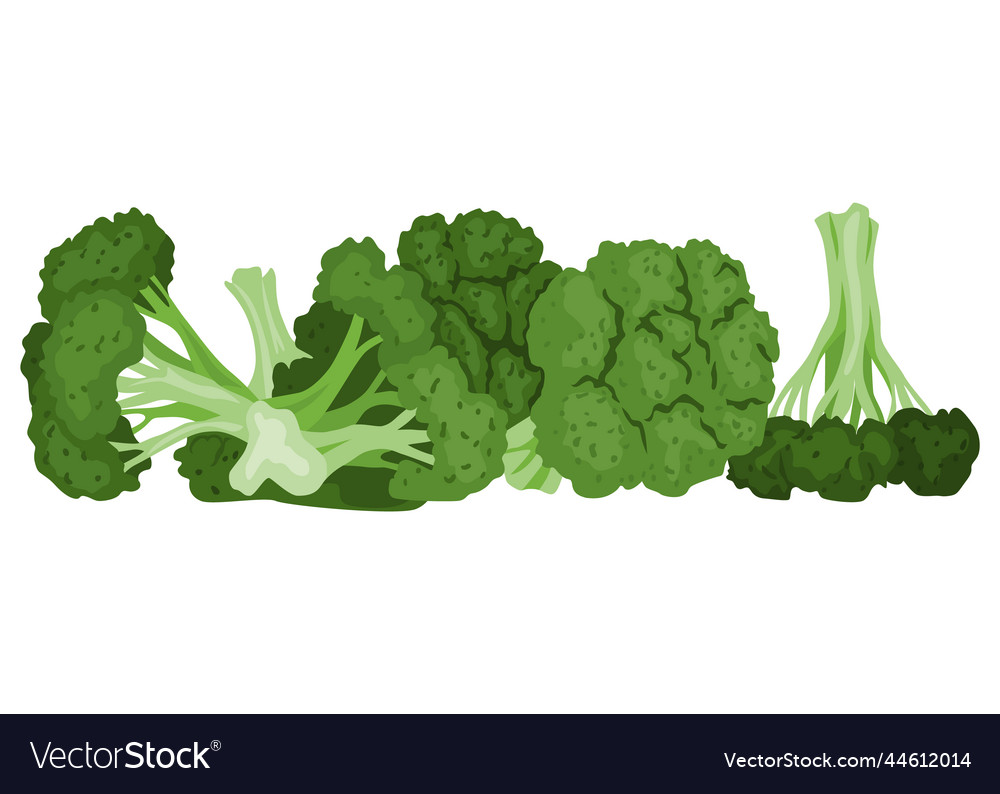 Assorted fresh vegetables farmers marker grocery Vector Image Assorted fresh vegetables farmers marker grocery Vector Image