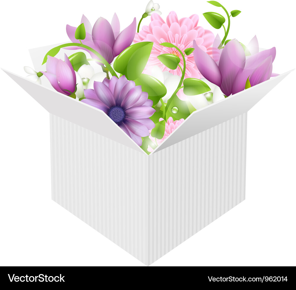 Box bouquet Royalty Free Vector Image - VectorStock