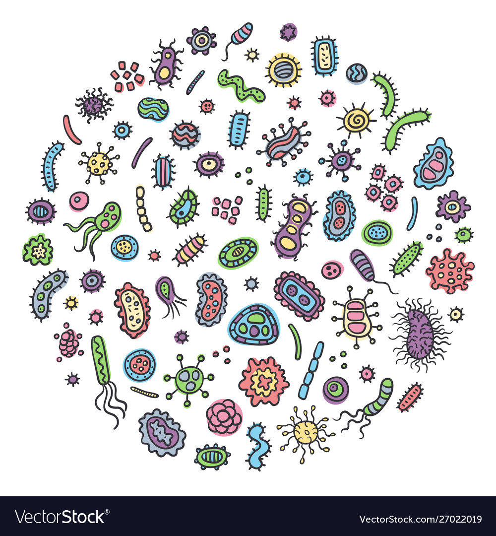 Bacterial Microorganism In A Circle Color Doodle Vector Image