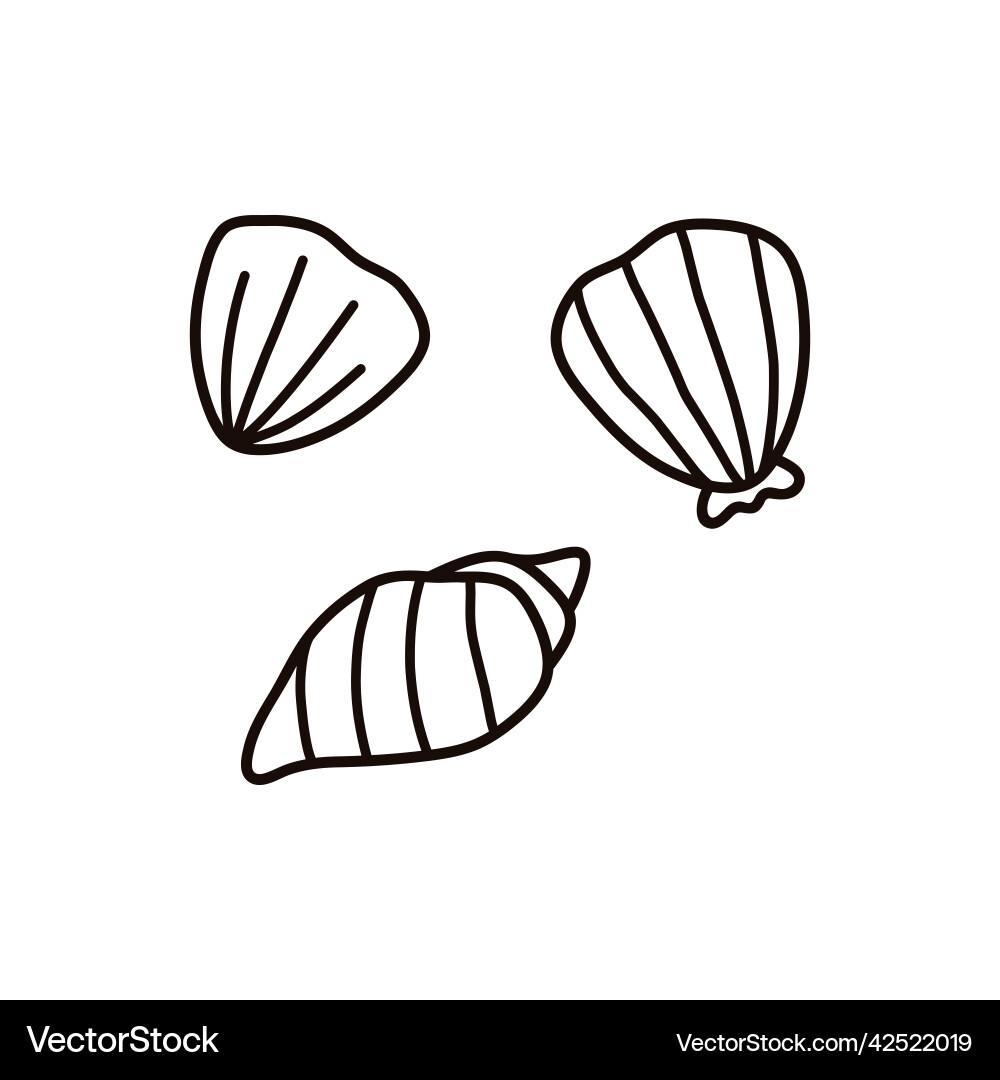 Cute seashells of different shapes Royalty Free Vector Image