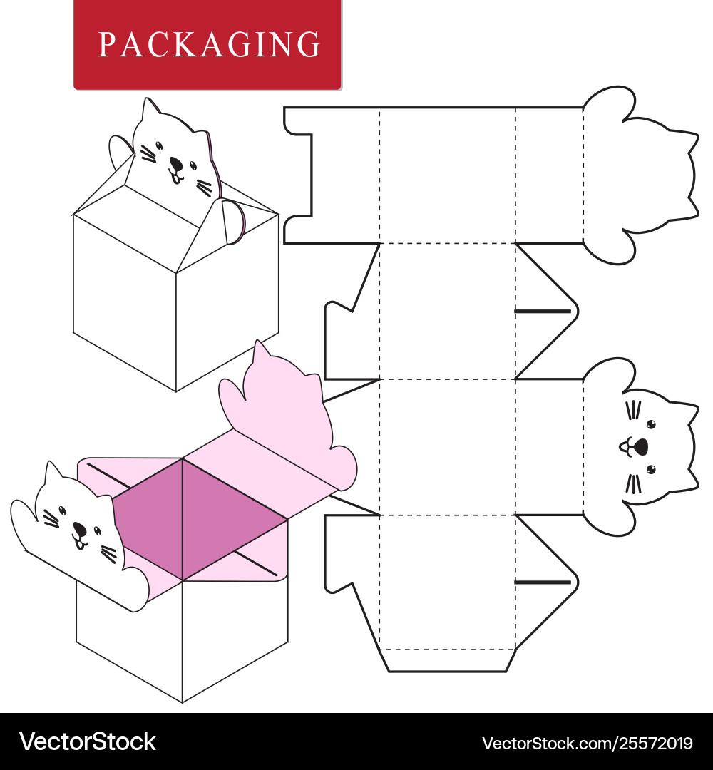 Packaging Design Boxpackage Royalty Free Vector Image