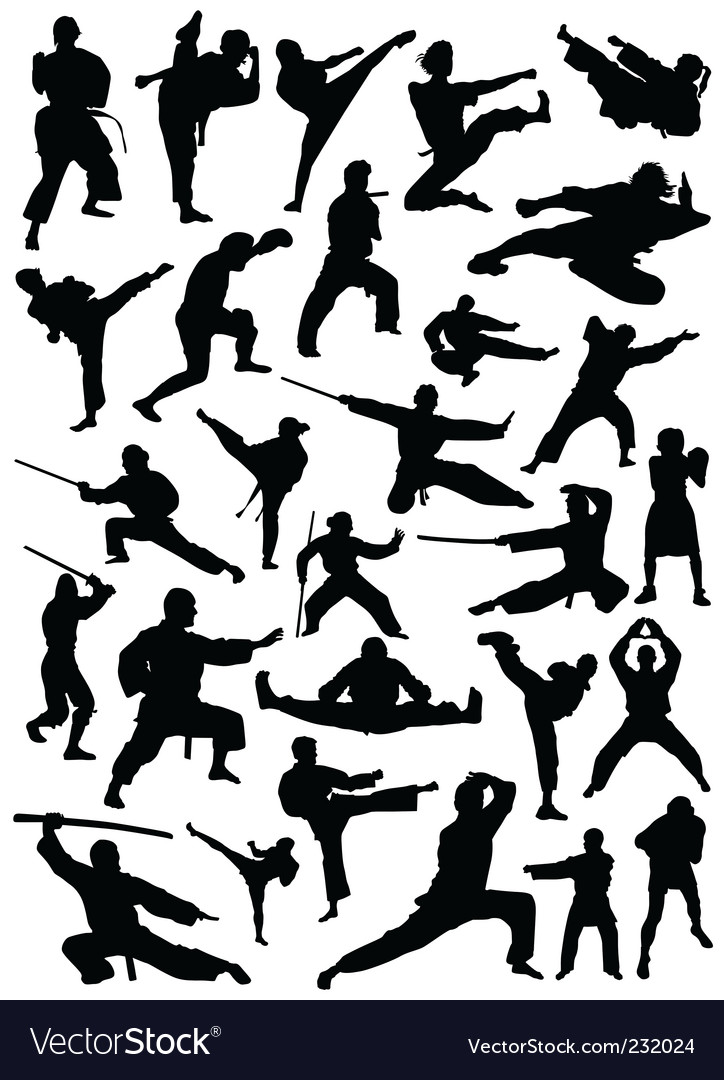 Fighter set Royalty Free Vector Image - VectorStock