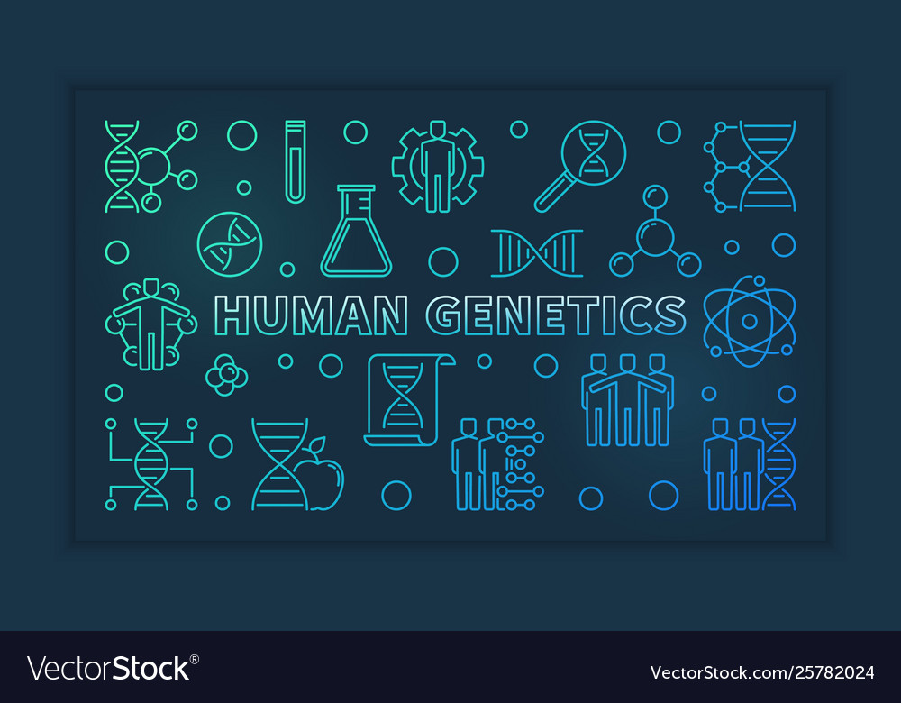 Human genetics colorful linear horizontal Vector Image Human genetics colorful linear horizontal Vector Image