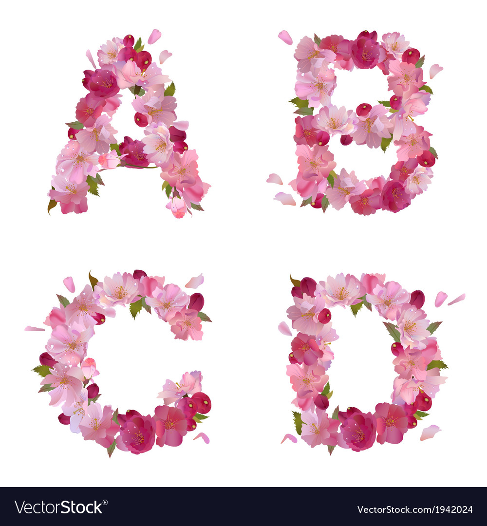 Spring alphabet with cherry flowers abcd Vector Image