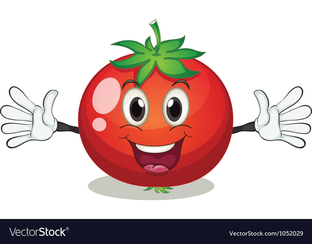 Tomato Royalty Free Vector Image - VectorStock Tomato Royalty Free Vector Image - VectorStock