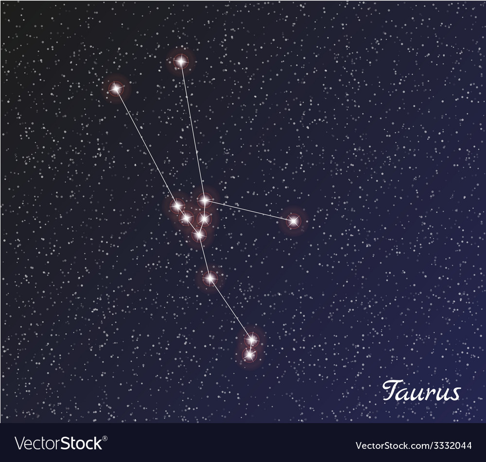 Constellation taurus Royalty Free Vector Image