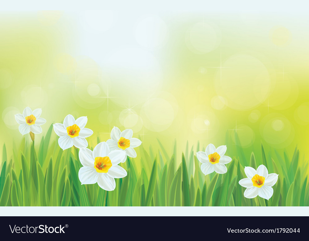 Spring Royalty Free Vector Image - VectorStock