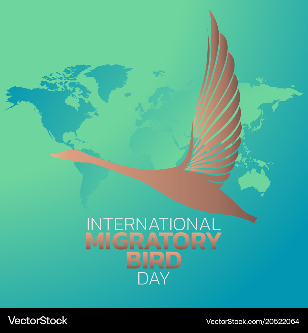 International migratory bird day logo icon design Vector Image