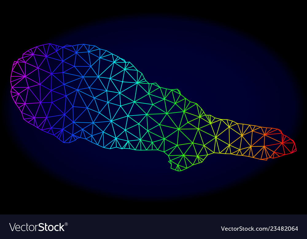 Polygonal network rainbow mesh map of pico Vector Image