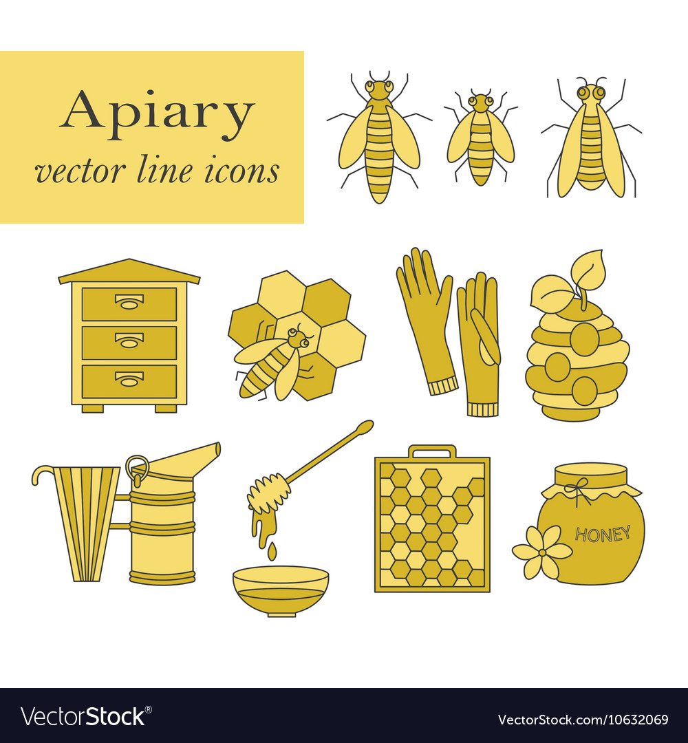 Apiary thin line icons set Royalty Free Vector Image