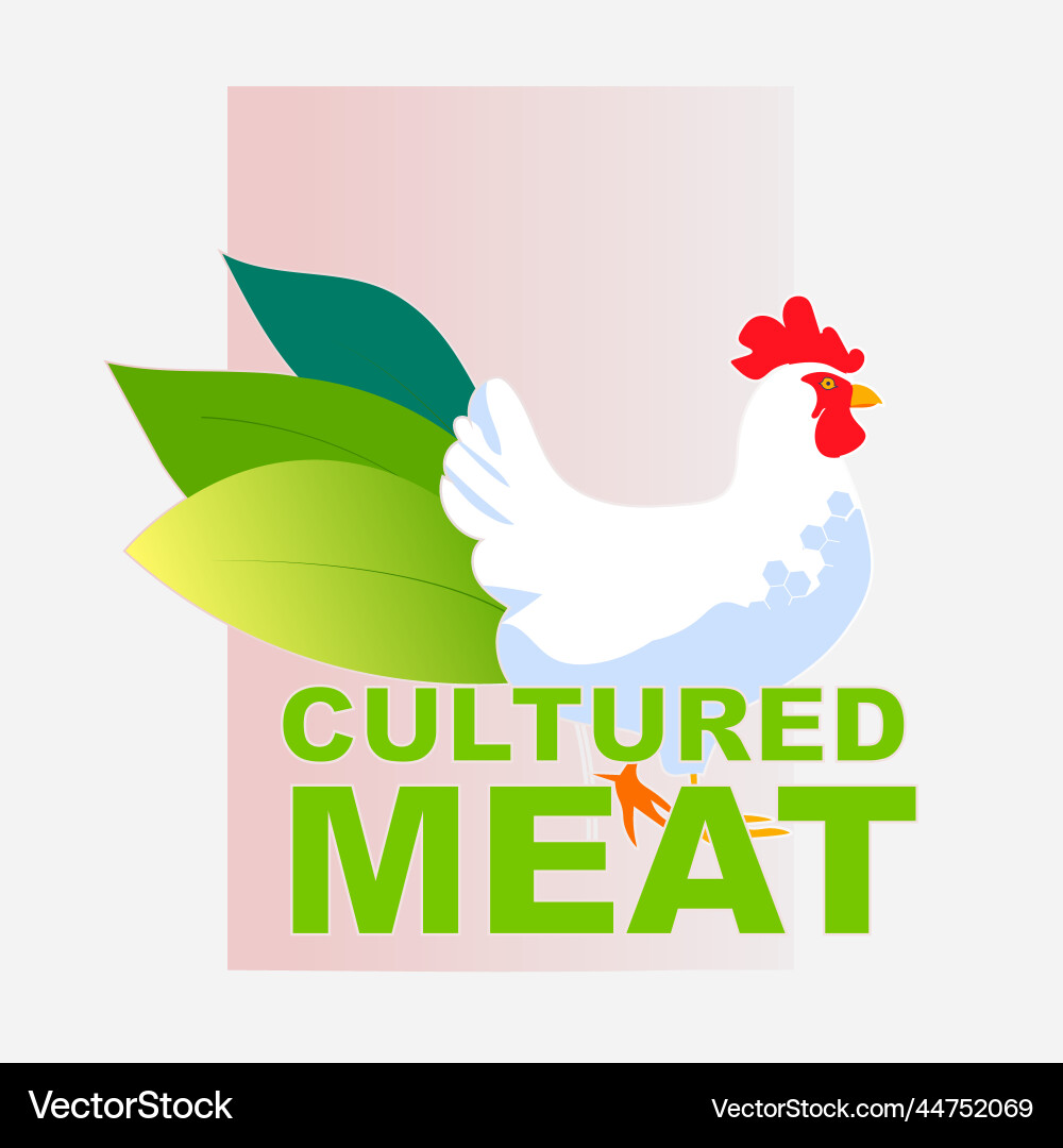 Cell cultured chicken meat artificial lab grown Vector Image