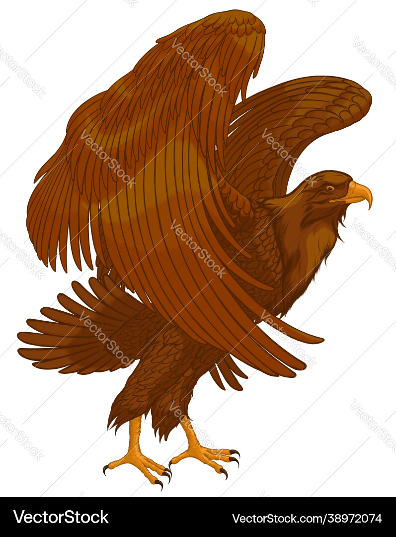 Brown eagle flaps its wings preparing to take off Vector Image