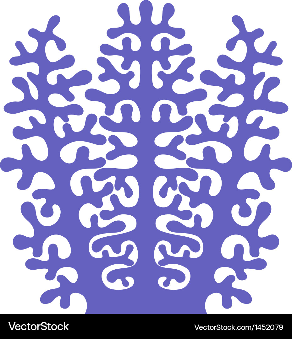 Coral Royalty Free Vector Image - VectorStock