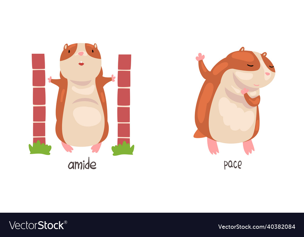 Cute hamster demonstrating english language Vector Image