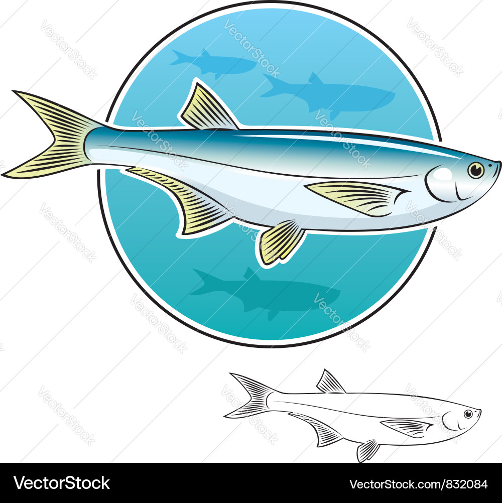 Herring Royalty Free Vector Image - VectorStock