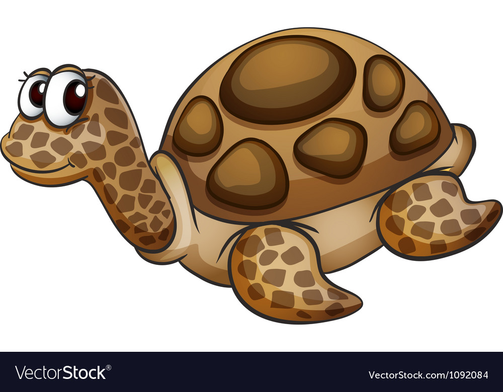 Tortoise Royalty Free Vector Image - VectorStock