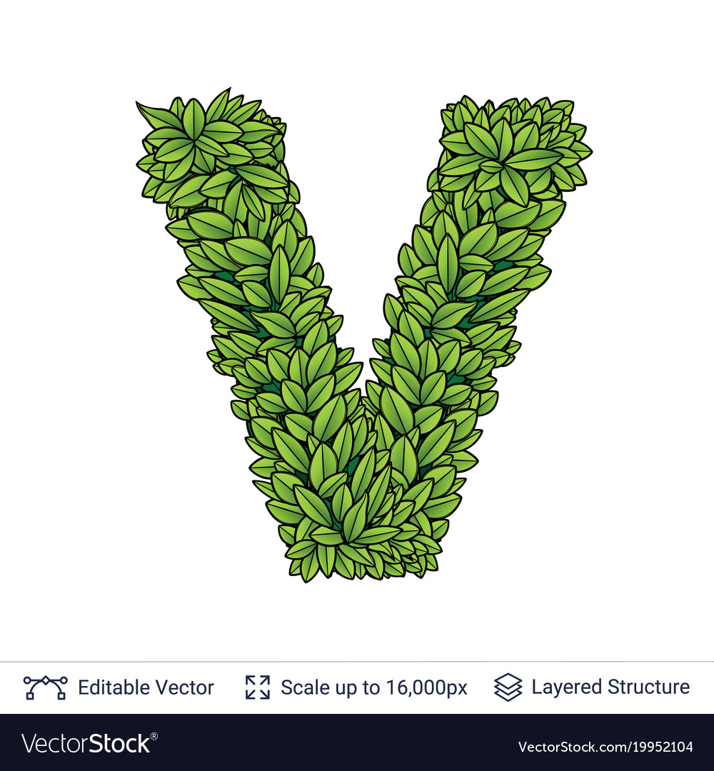 Letter v symbol of green leaves Royalty Free Vector Image