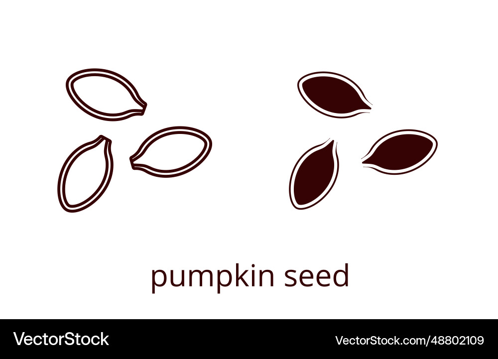 Pumpkin seeds icon Royalty Free Vector Image - VectorStock