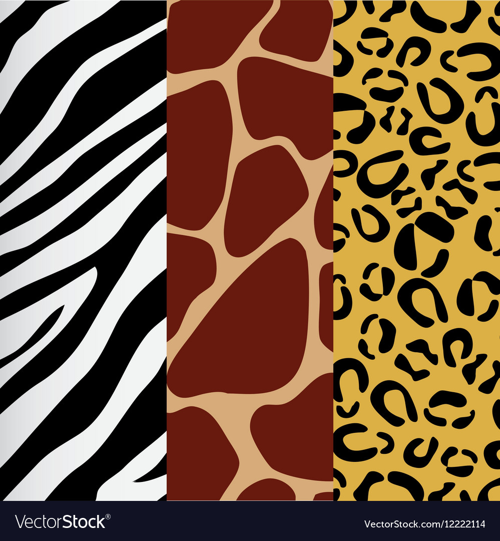 Animal print pattern image Royalty Free Vector Image