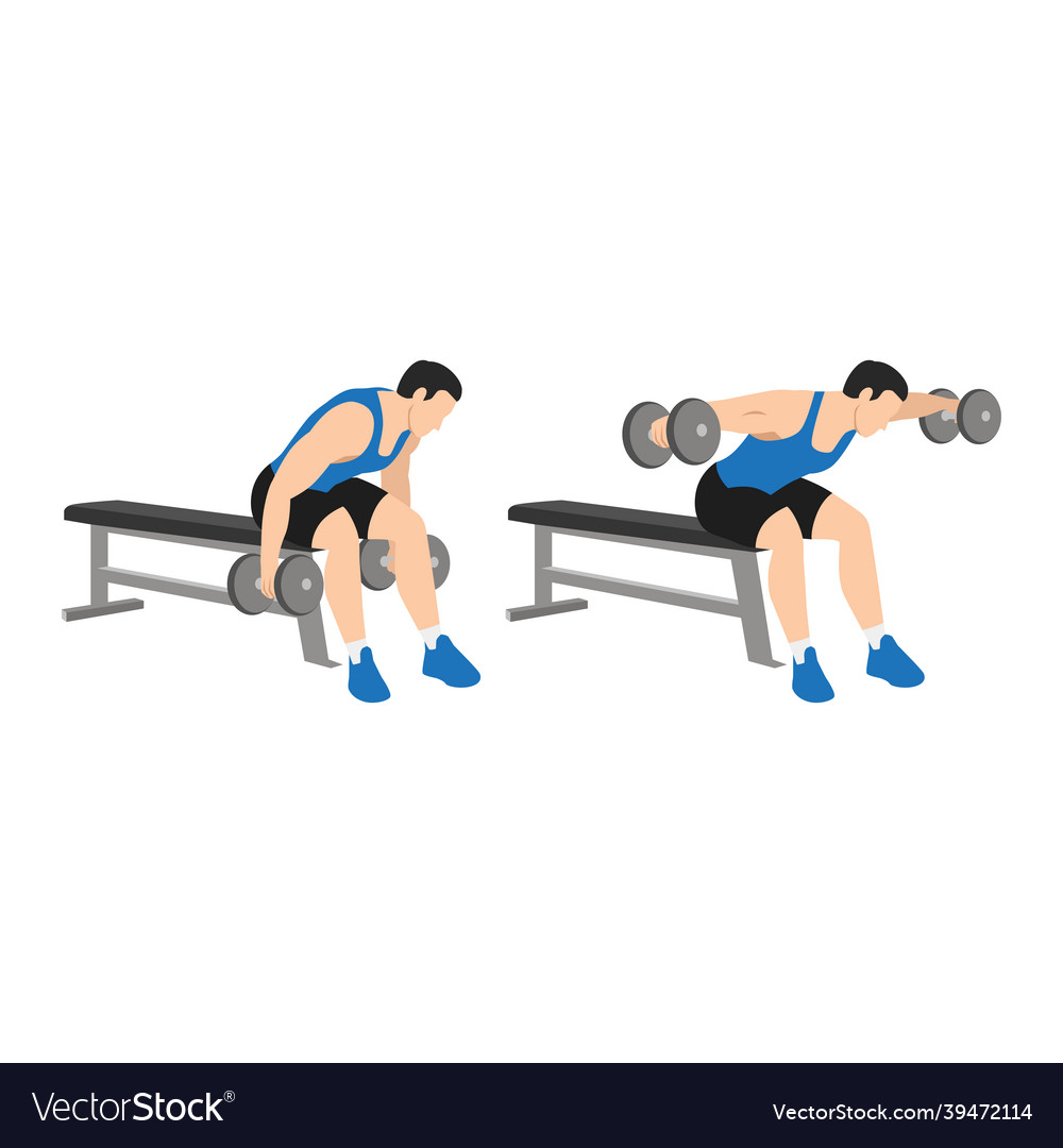 Man doing dumbbell bent over reverse flyes Vector Image Man doing dumbbell bent over reverse flyes Vector Image