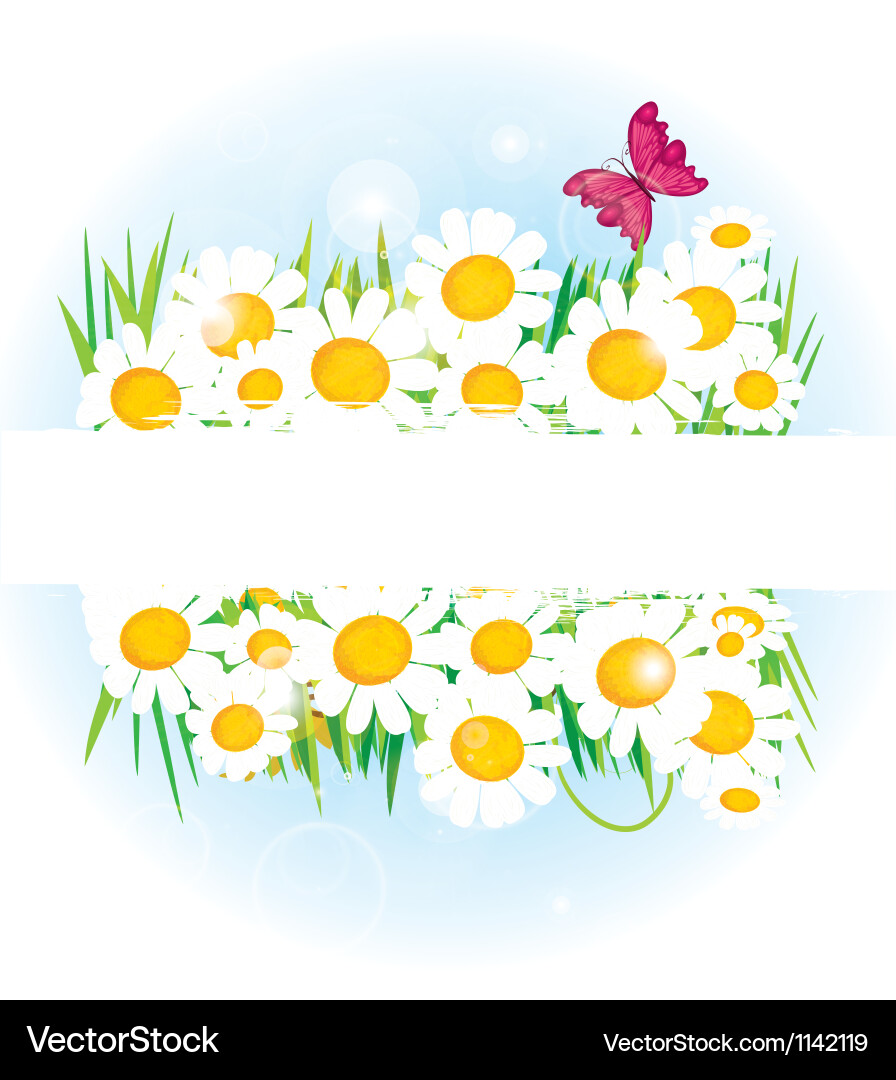 Daisy band with space for copy Royalty Free Vector Image