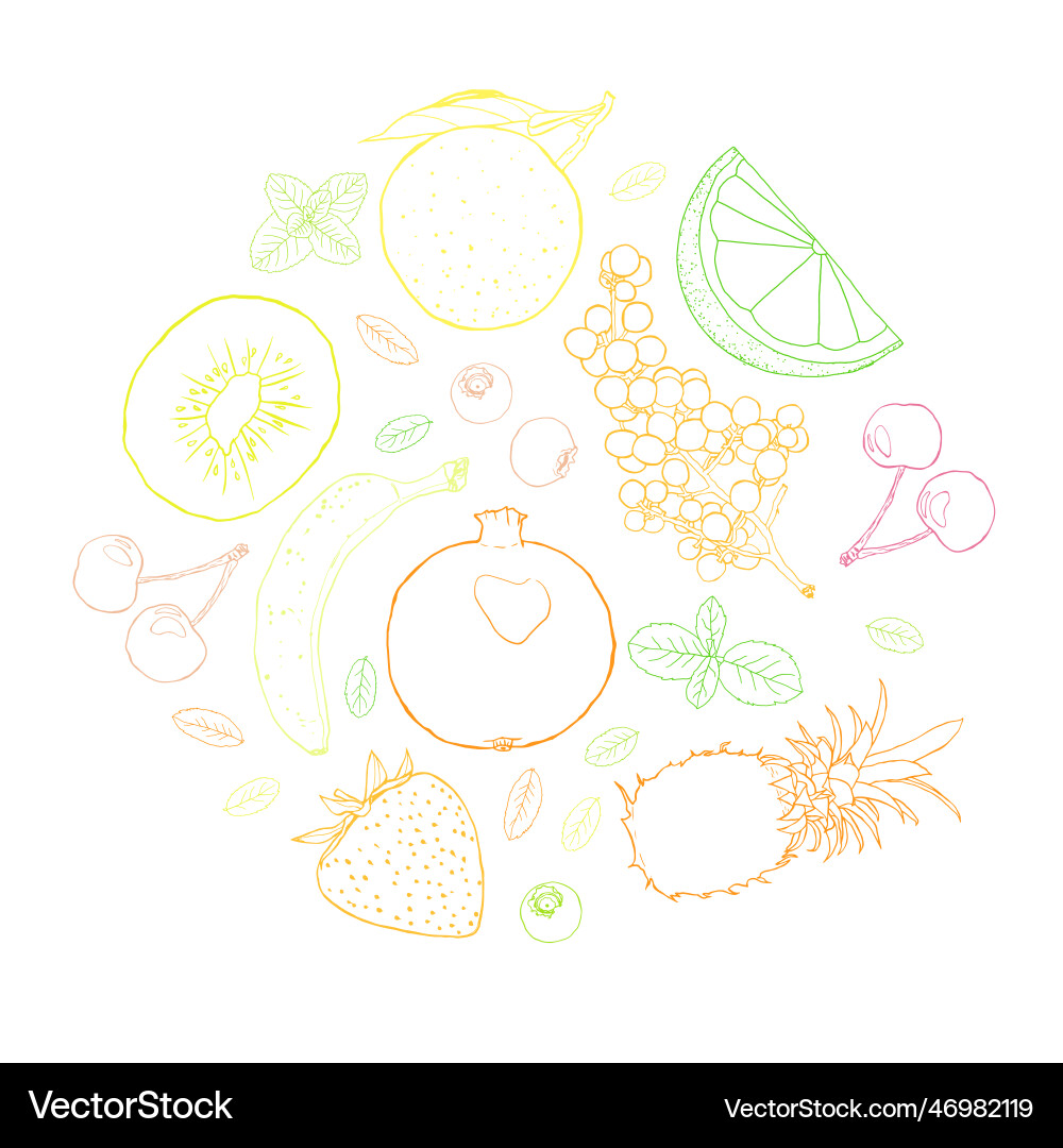 Fruit sketch art circle composition Royalty Free Vector