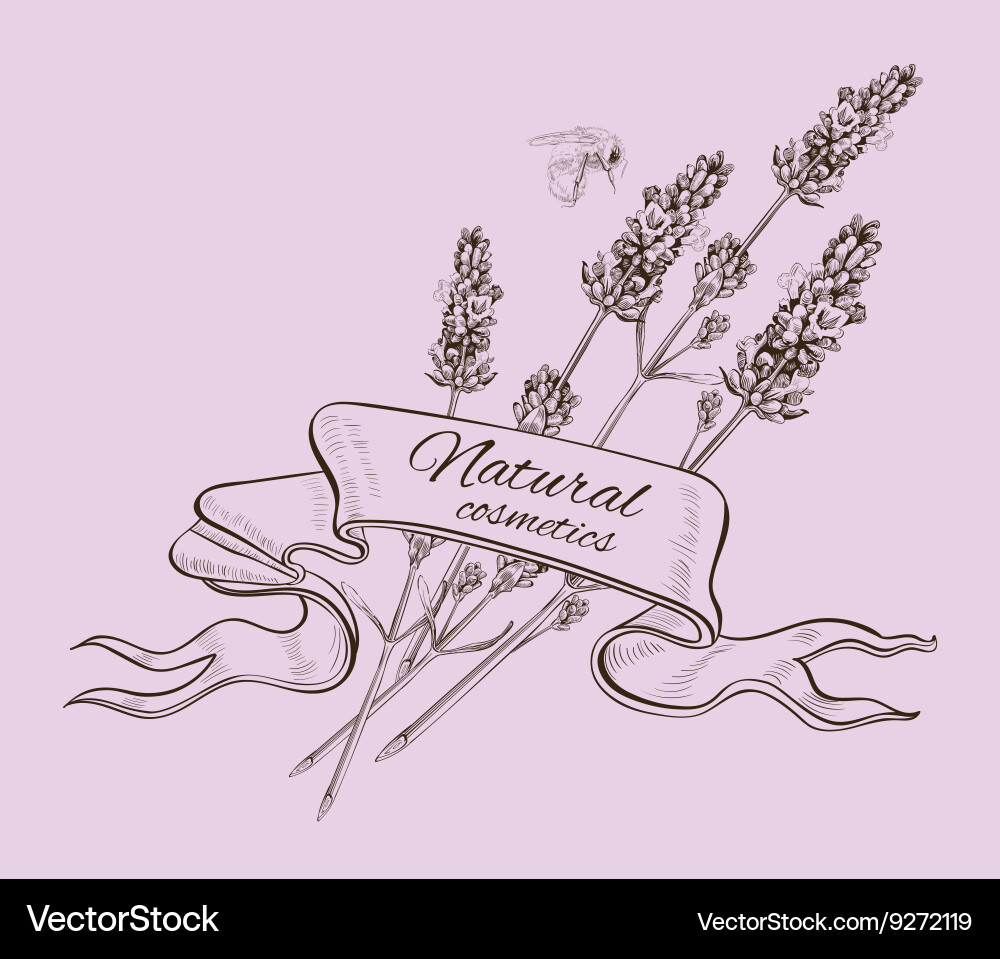 Lavender graphic banner Royalty Free Vector Image