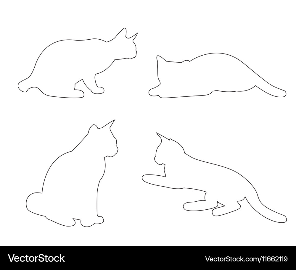 Paths of cats set on the white background Vector Image